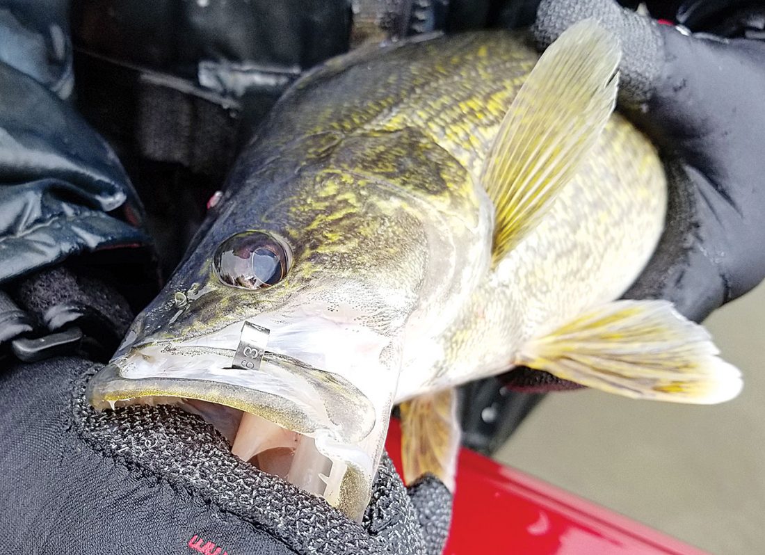 Nature meets technology | News, Sports, Jobs - Minot Daily News